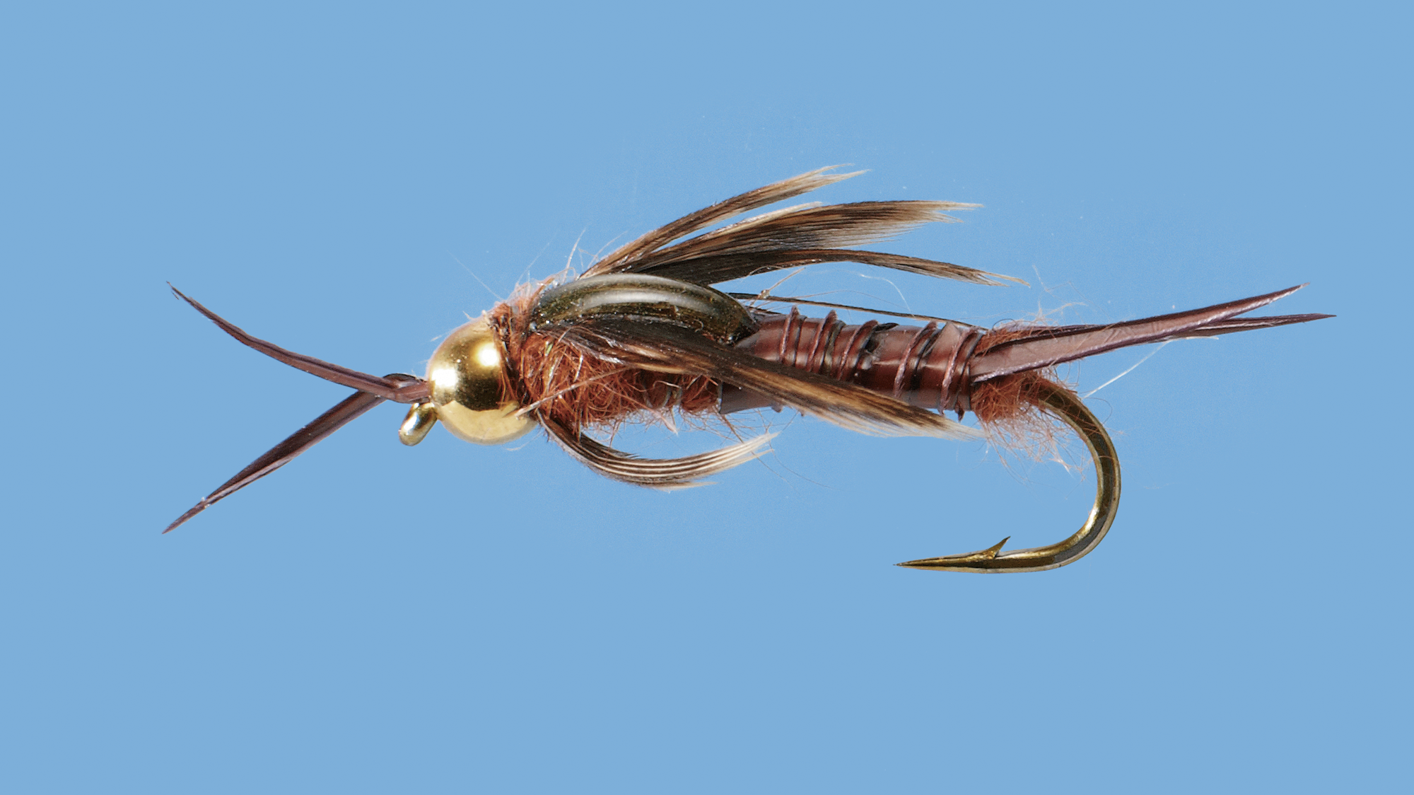 Umpqua Biot Epoxy Stone Nymph Bead-Head Fly | Bass Pro Shops